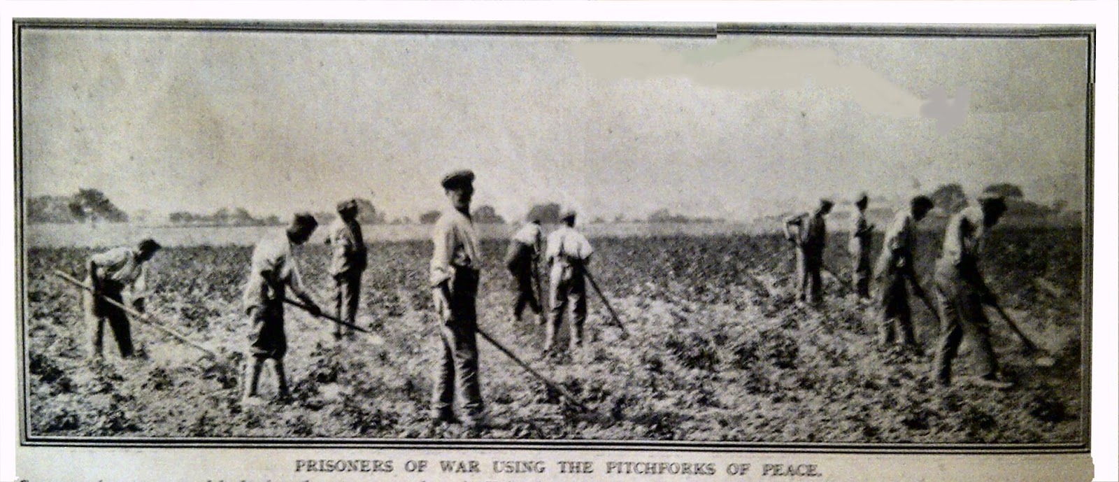 Country Standard: The Harvest of 1919 - Agricutural Labourers
