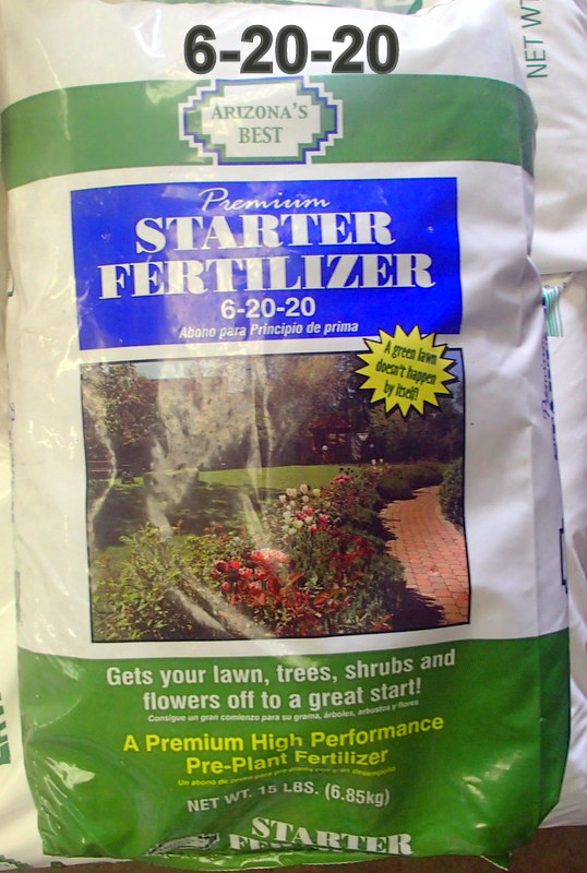 Viragrow Delivers! : The Best Fertilizer to Use for Lantana