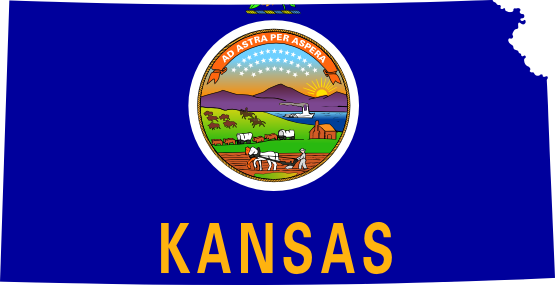 TransGriot Lawrence KS Passes Trans Protective Law transgriot-lawrence-ks-passes-trans-protective-law