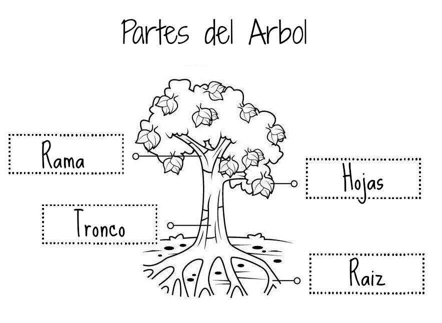 RECURSOS y ACTIVIDADES para Educación Infantil: Las Partes de las ...