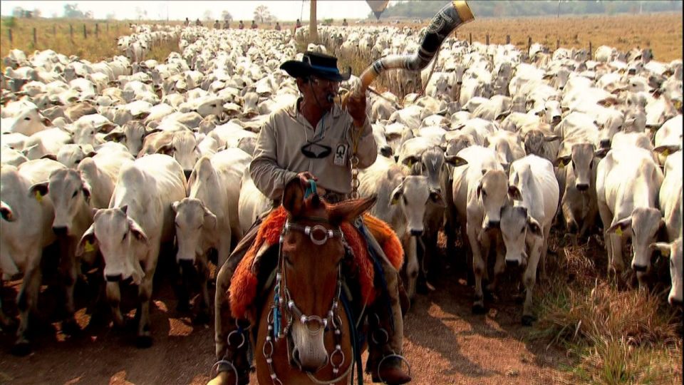Boiadeiro - Orixás e Mensagens