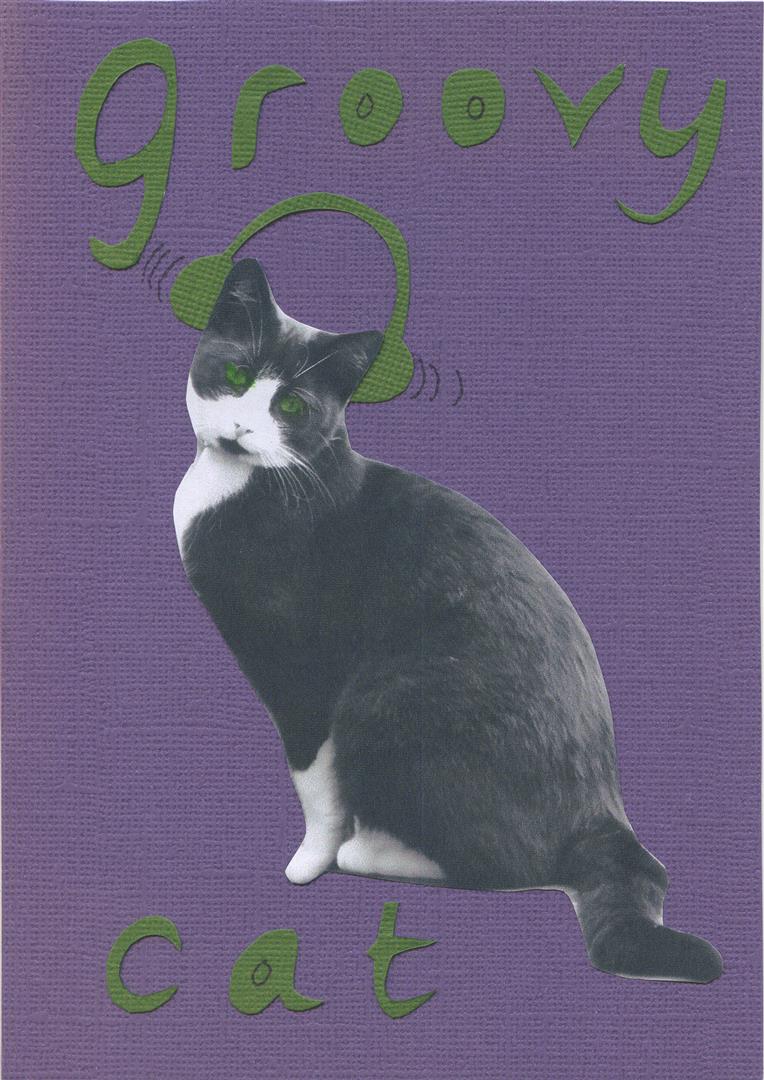emuse: Groovy cat postcard