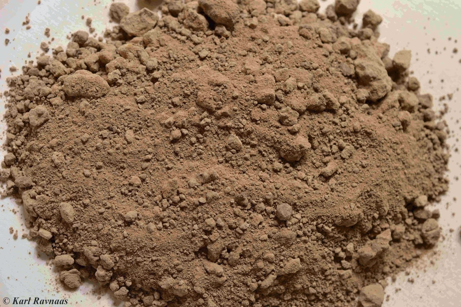 Living Rocks - A blog about cacti and other succulents: The Nursery ...