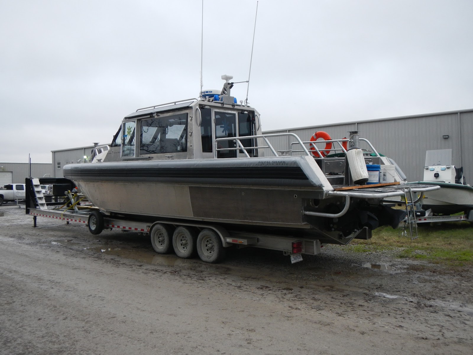 Double Webbie Single Shark: A Quick Update by Eric