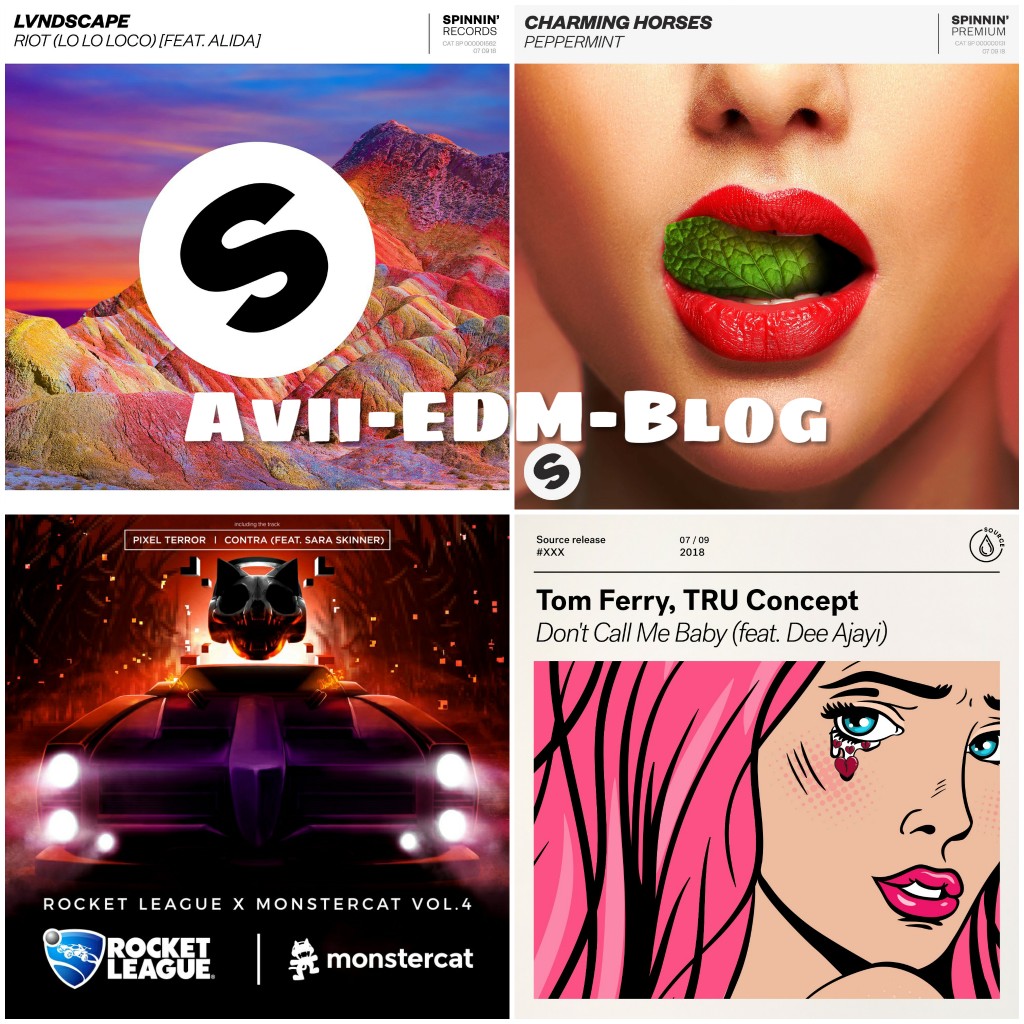 Avii-EDM-Blog