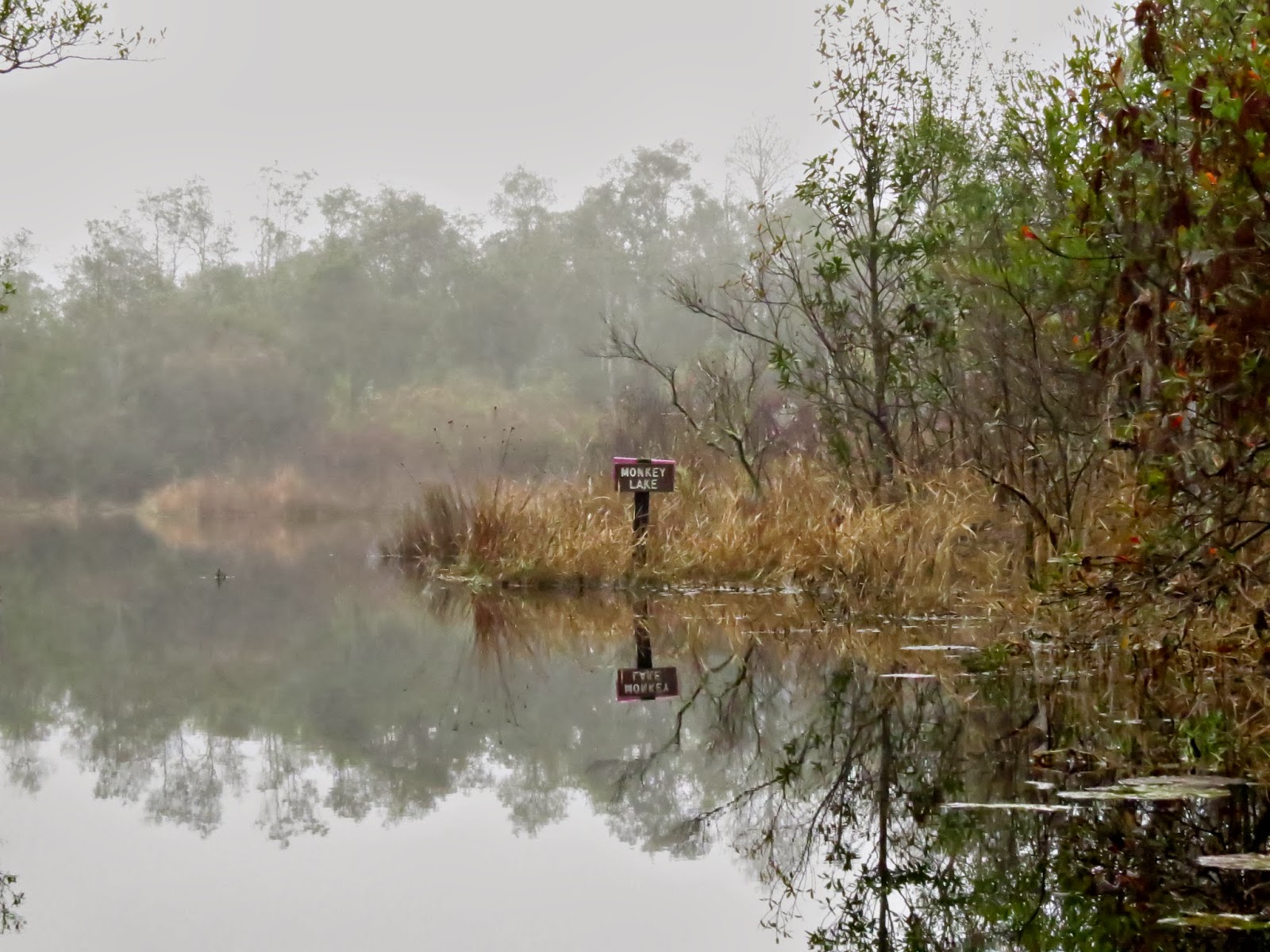 Adventures of a Vagabond Volunteer: Paddle to Monkey Lake