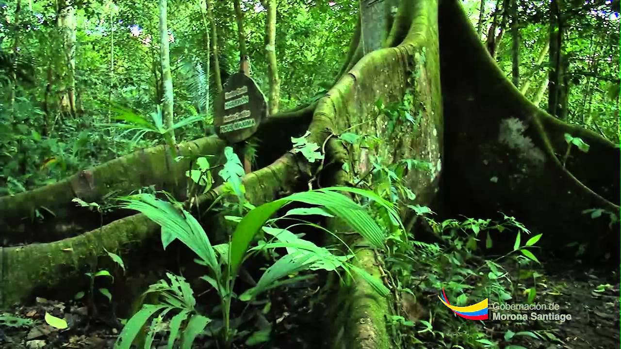 Sucúa Paraíso Turístico de la Amazonía: enero 2016