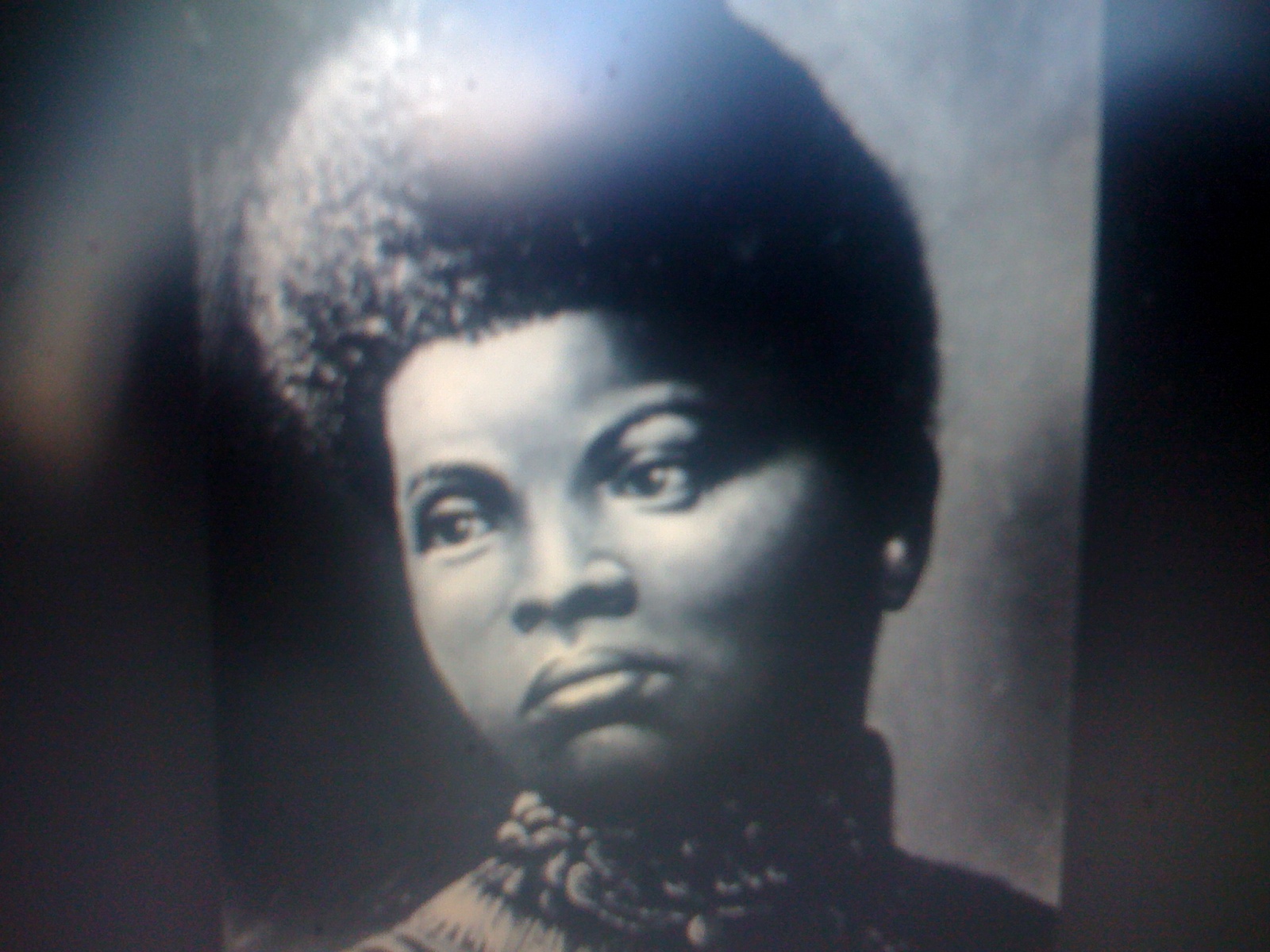 THE BLACK SOCIAL HISTORY:: BLACK SOCIAL HISTORY : IDA BELL WELLs ...