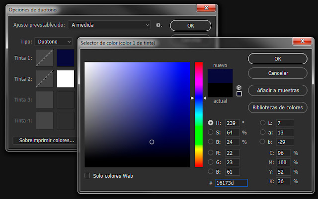 Cómo hacer un Duotono (Lightroom, Camera Raw y Photoshop) - Fotolarios