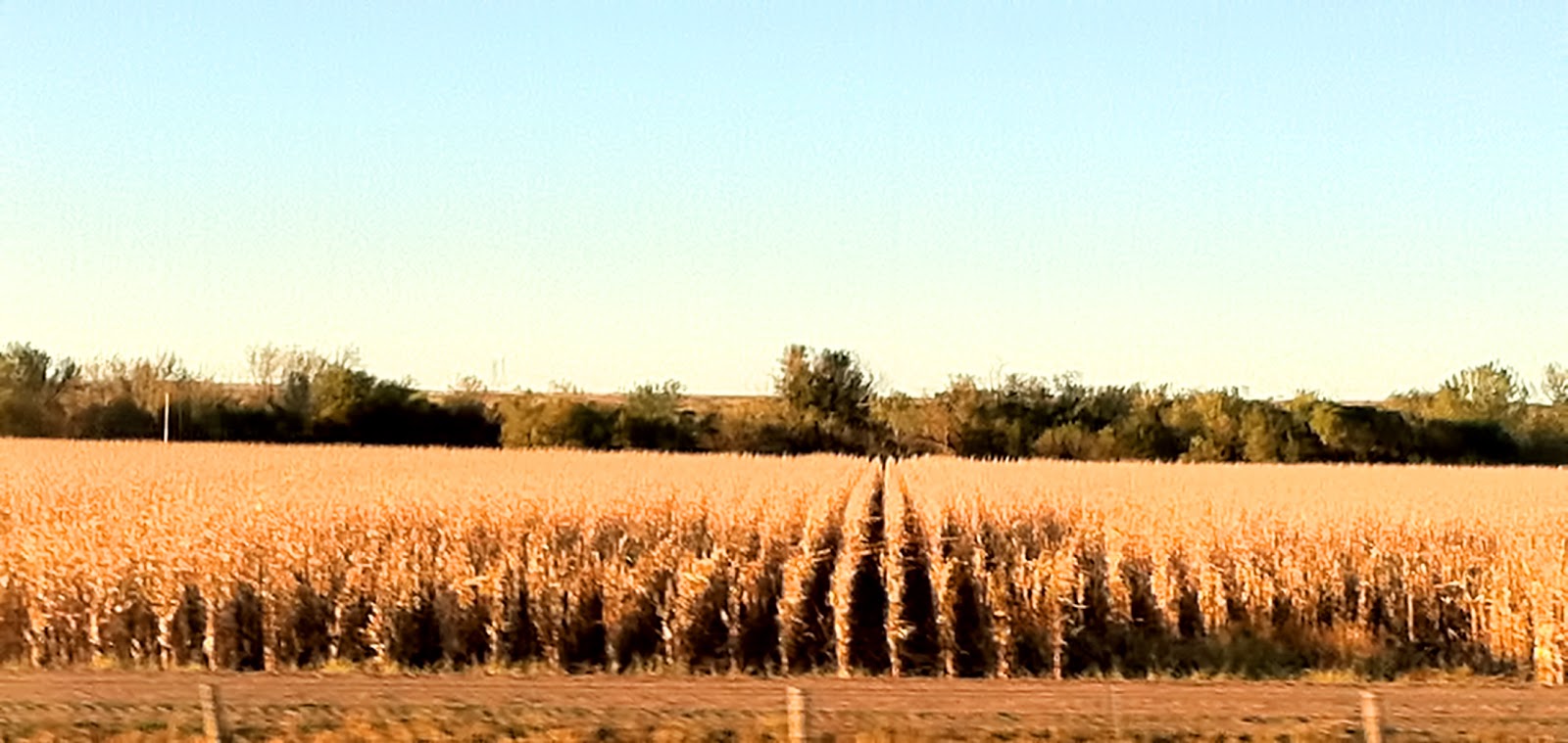 The Nature of Framingham: The State of Nebraska