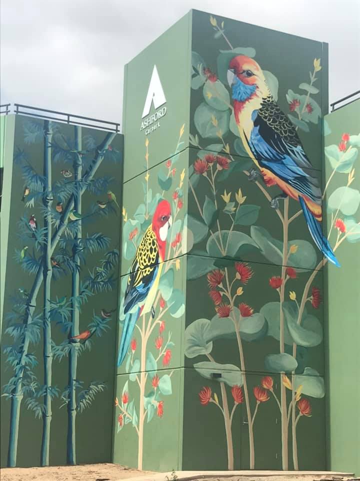 Kiwi's Angels: Jack Fran grafiti parrot graffiti at Adelaide's Ashford ...