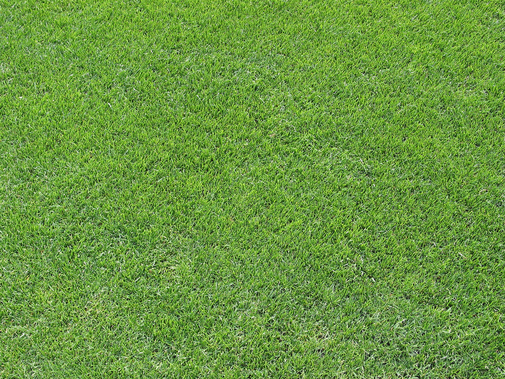 Pasto verde HD - Imagui