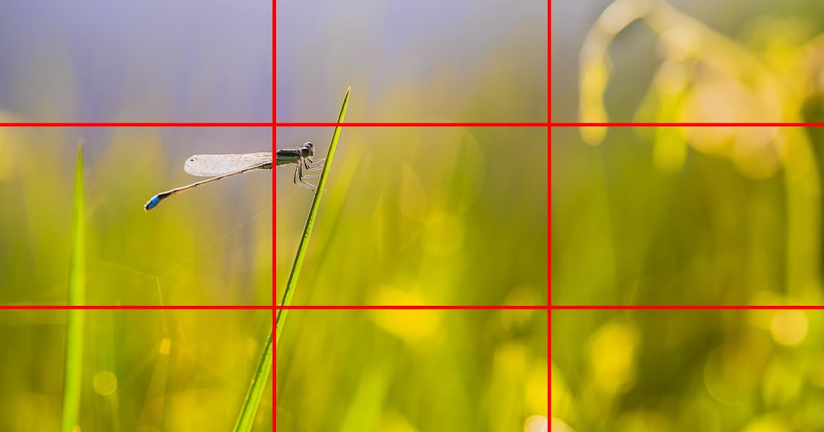 Mengenal Komposisi Rule of Thirds pada Fotografi | Blog Banten Kamera