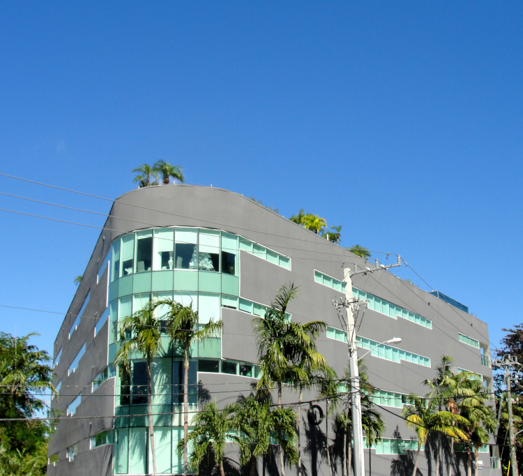 Star of the East: Miami