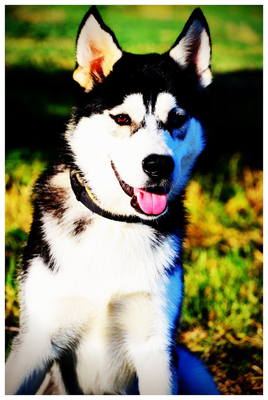 Oscar Lechuga Fotógrafo