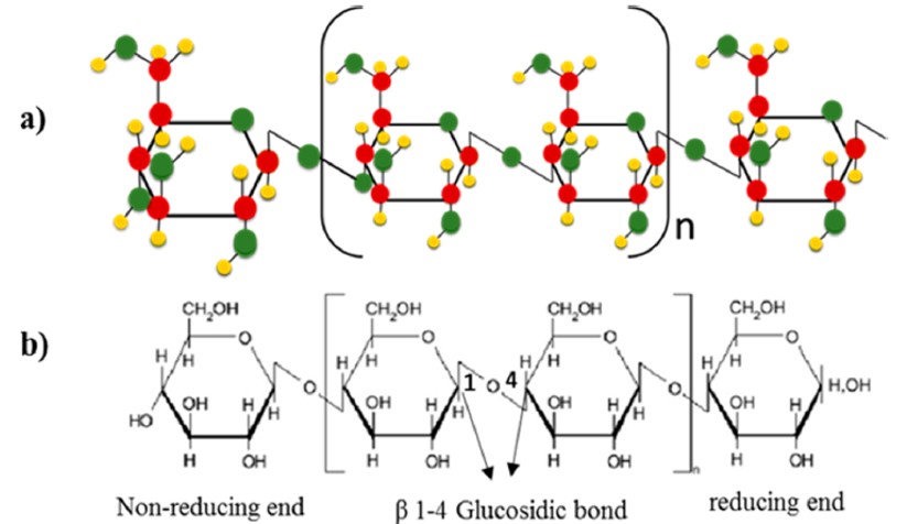 Nanocellulose biorefineries – A biomaterial with unparalleled ...