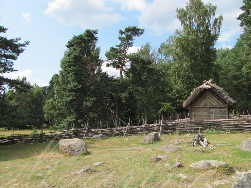 alizarine: The Viking heritage