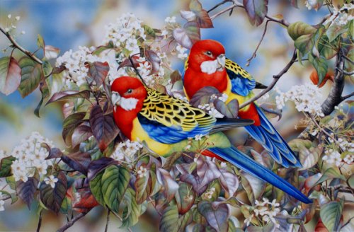 Carrie's Creations: Friday Feature Heidi Willis