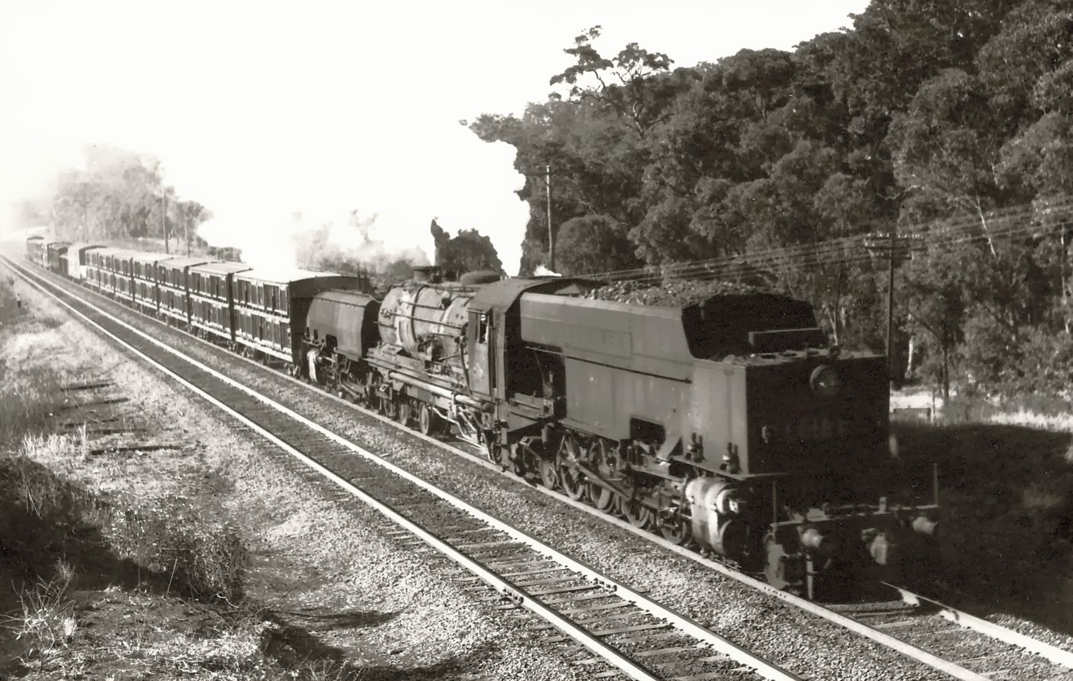 transpress nz: NSW Garratt engine with a goods train near Fassifern, 1959