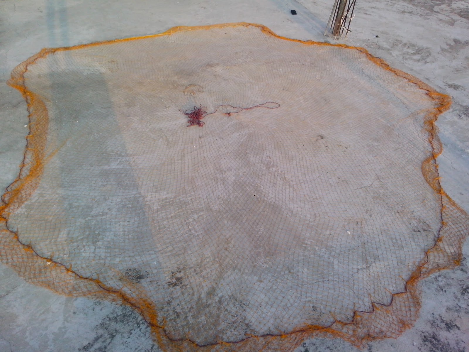 atarraya para la pesca: VENDEMOS ATARRAYAS PARA LA PESCA