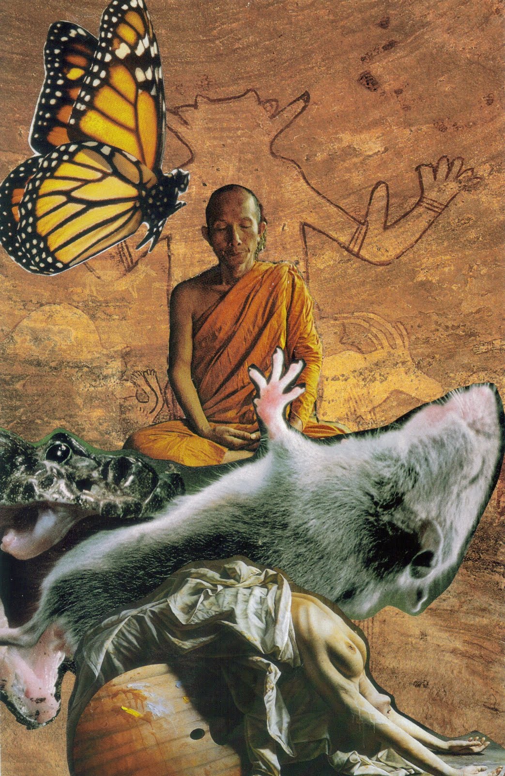 Pausing at the Trumpet Vine: 2011