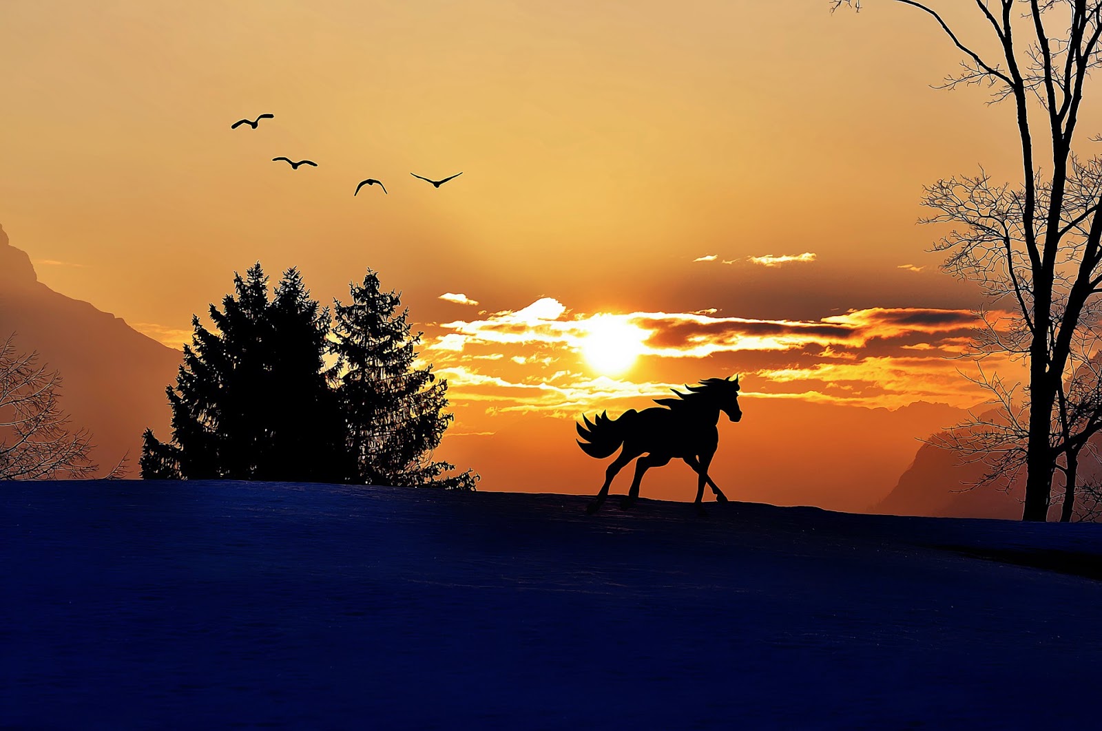 Kuvablogi: 5 kuvituskuvaa - hevonen