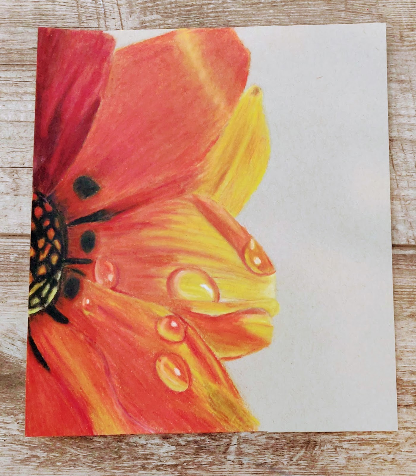 Riverwood Studio: Intermediate Art Student Gallery