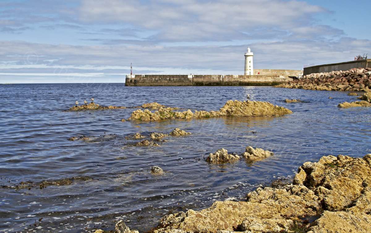 Dougie Coull Photography: Buckie Harbour