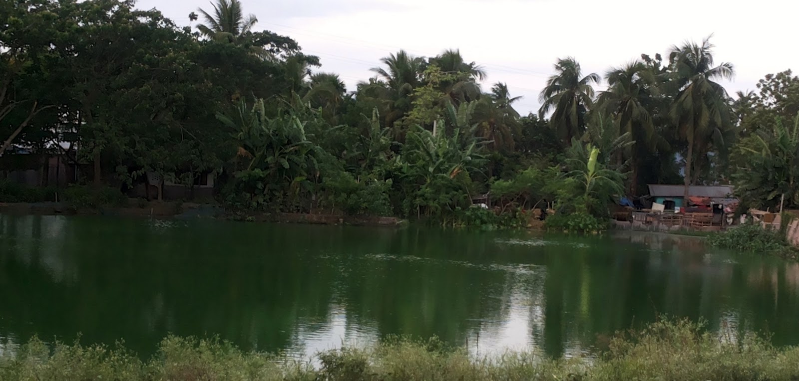 Jessore District ,Bangladesh