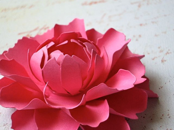 It's Written on the Wall: {Teacher Appreciation} Paper Flowers for the ...