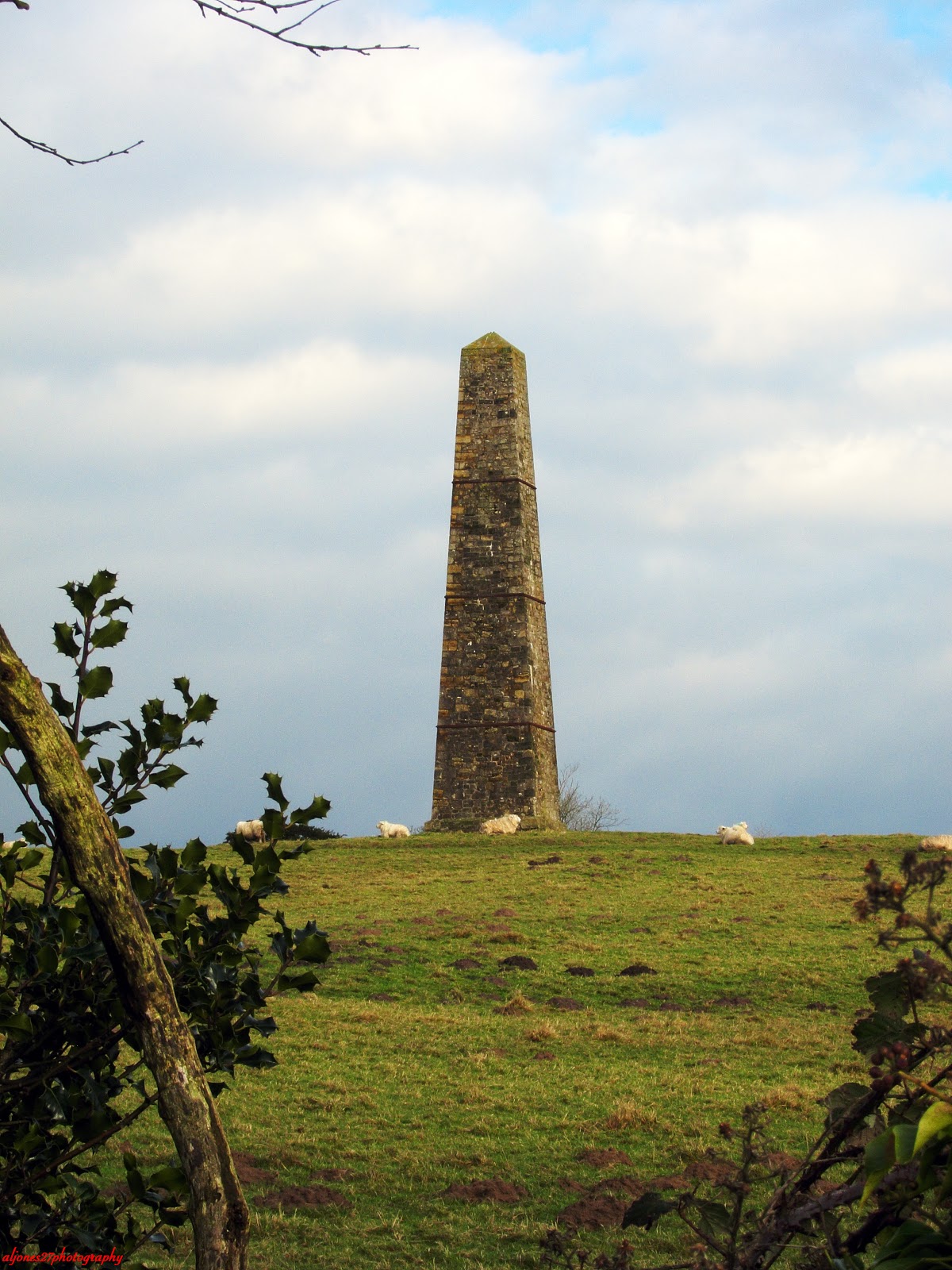 Alastair's Miscellany: A Brightling Folly...