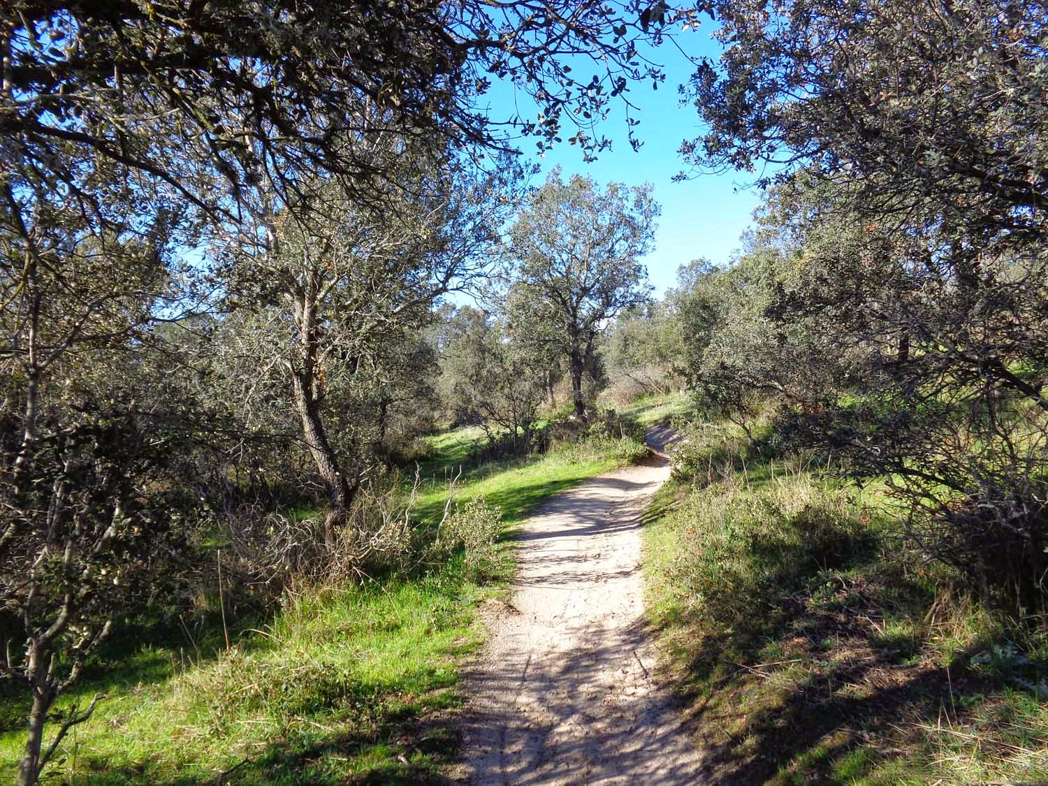 Rutas MTB Madrid: Senderos por la Dehesa Boyal