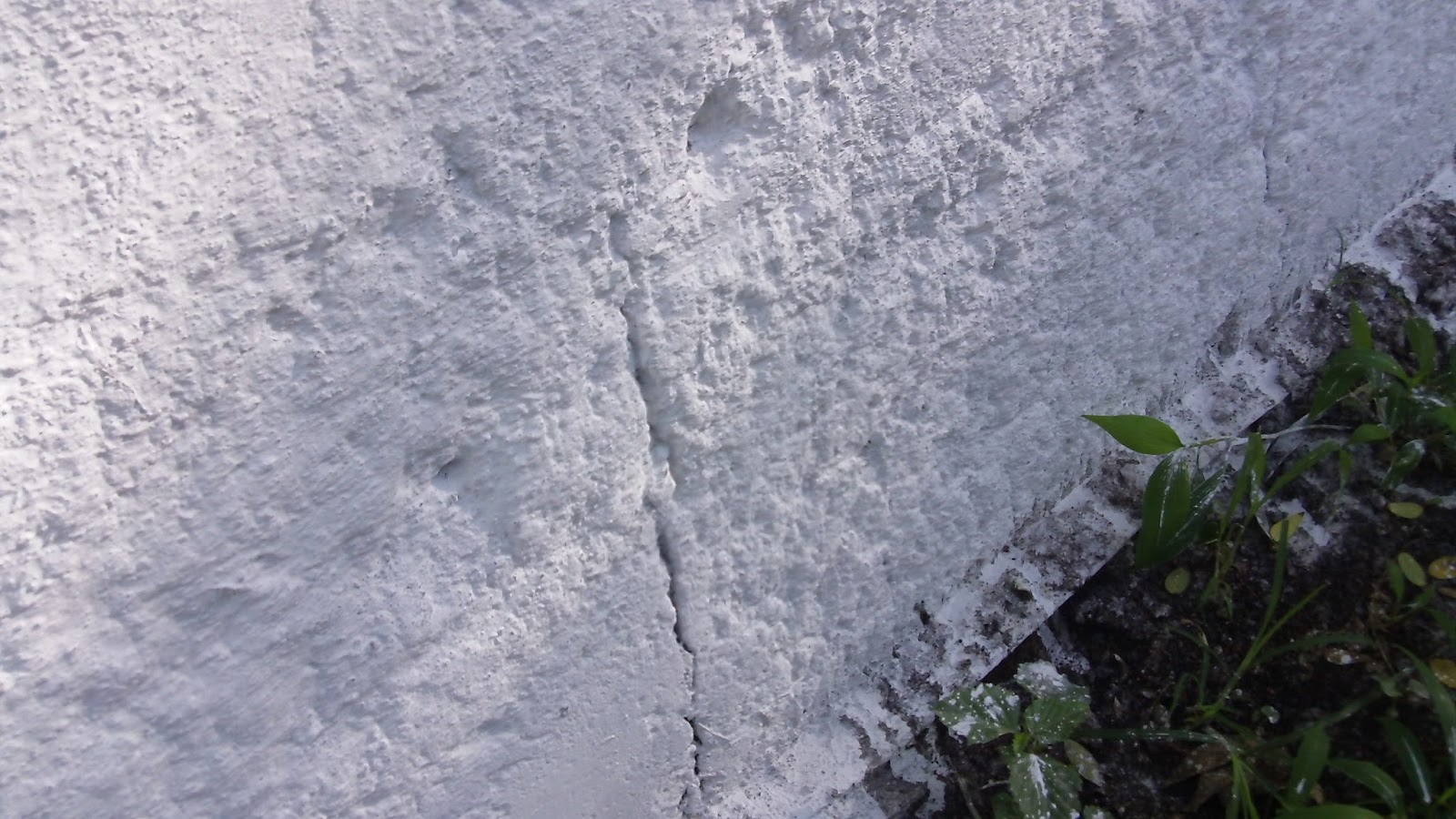 Alternative Building Construction : Lime white wash of rammed earth walls