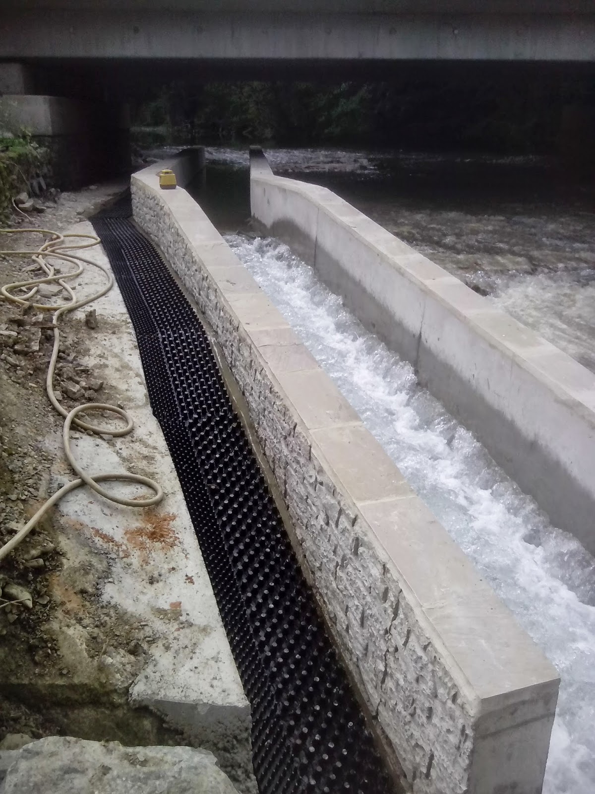 3rd July 2014 - Fishtek