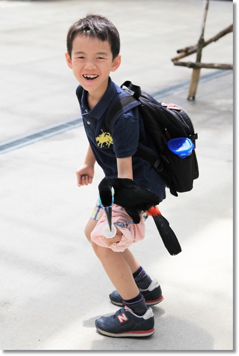 Emiko & Wilson's 生活小珍藏: 【2013暑遊】日本京阪神奈九日遊 -- 神戶花鳥園