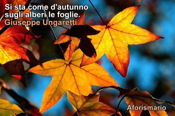 Aforismi, frasi e proverbi sull'Autunno | Aforismario