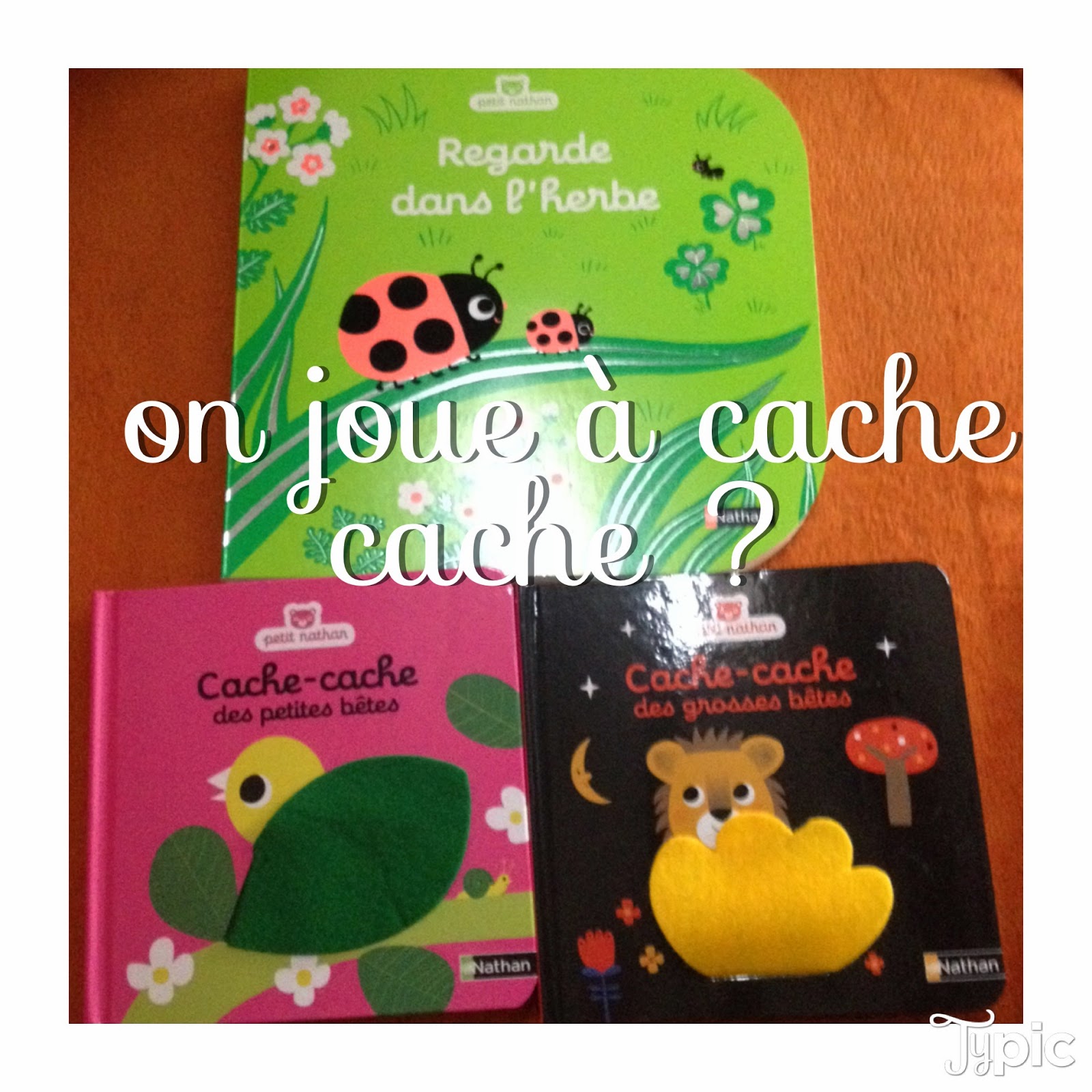 On joue à cache-cache? [livres éveil]