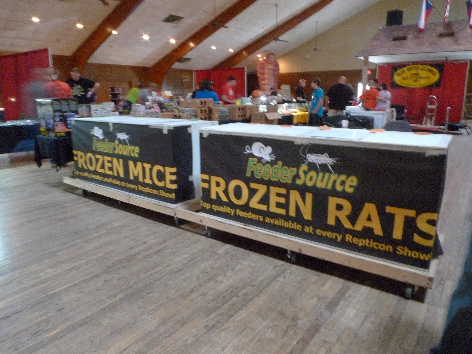 Paraherpetology: Repticon Dallas, Part 3: My Herp Haul