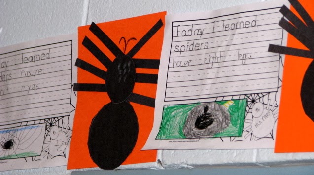 Scissors and Crayons: Spiders!!