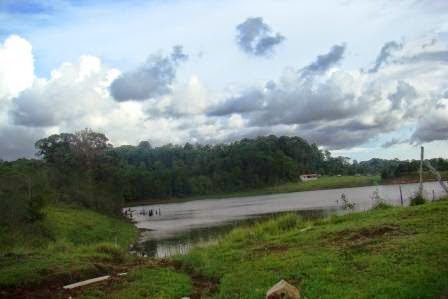 Brassavola Digbyana: Departamento de Intibucá: Comidas, Actividades ...