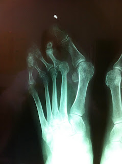 D'Aleo Dott. Paolo Medico Chirurgo Specialista in Ortopedia e ...