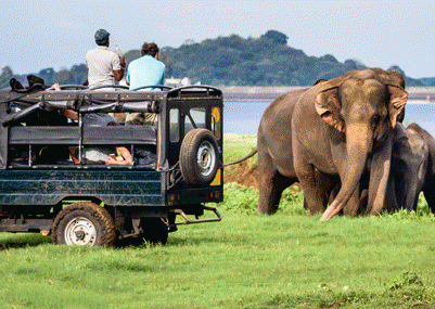 Swarnajothi national school