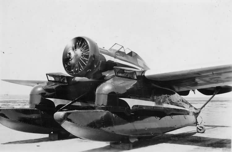 Rocheville Arctic Tern amphibian-1932, 1/72 scratch-built - Ready for ...