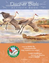 Discover Birds: A fun Interactive Bird Poster