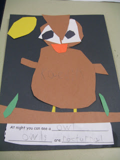 Owls and Bats | First Grade Shenanigans