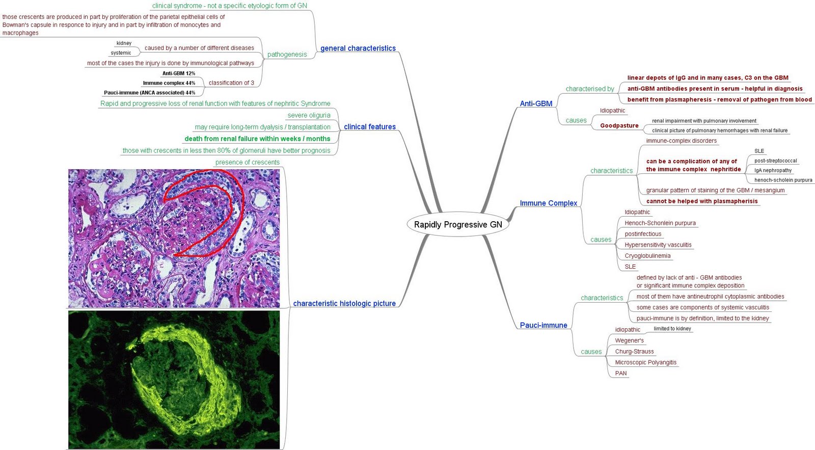 tatsnotes.: mindmap - Rapidly Progressive Glomerulonephritis