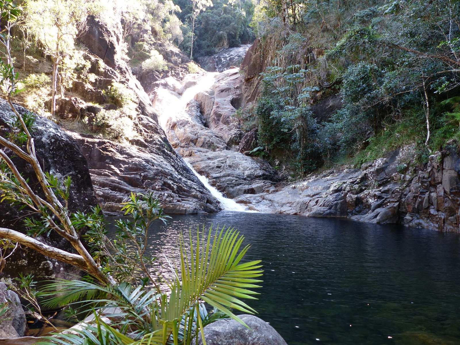 The Wandering Tops: Finch Hatton Gorge