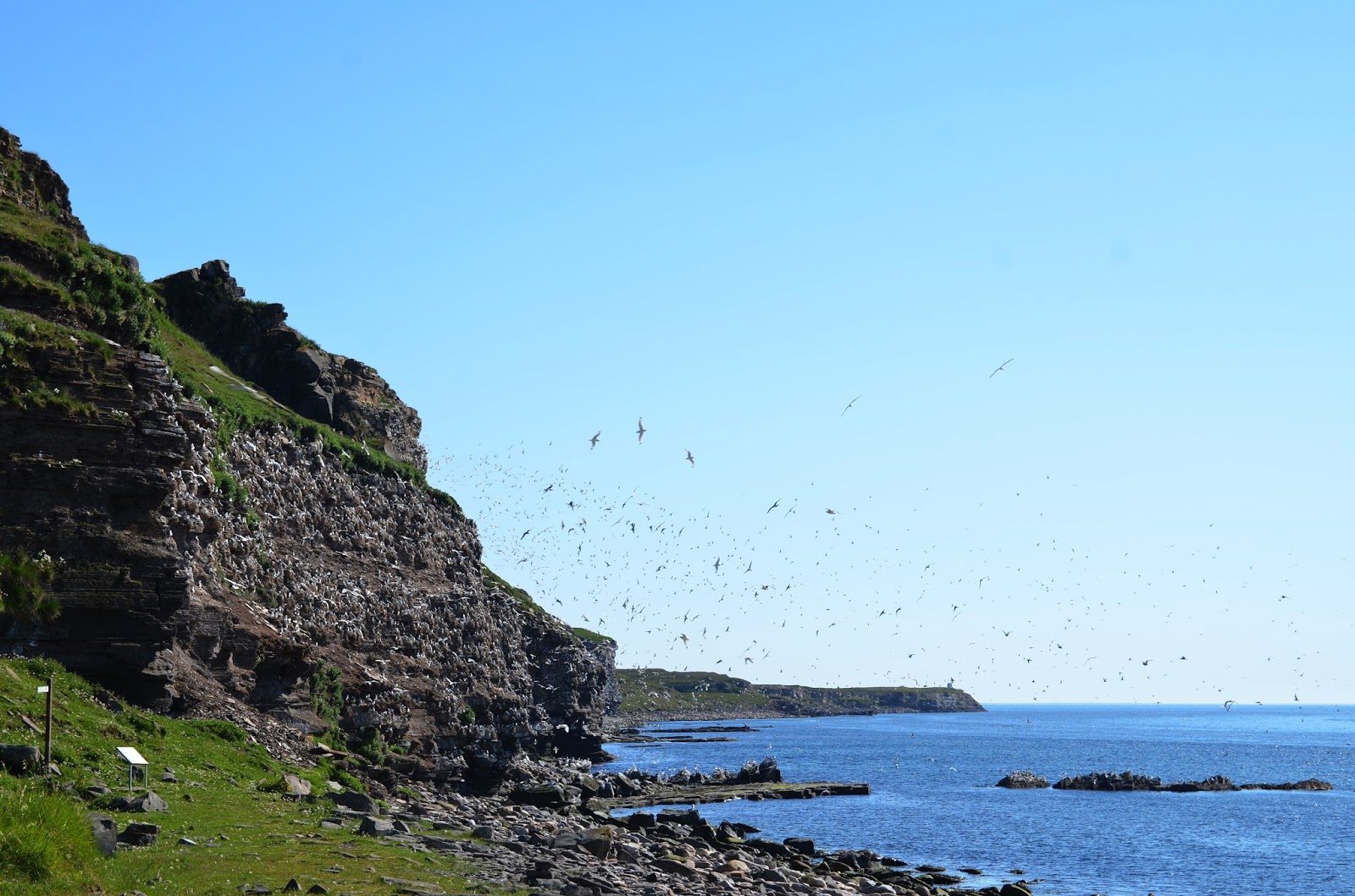 Villen luontohavainnot: Retki Varanginvuonolle (Oppi fjellet!)