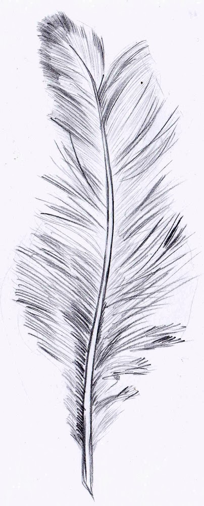 Weekly : Doodles and tuts: Drawspace lesson I06: How to draw a feather