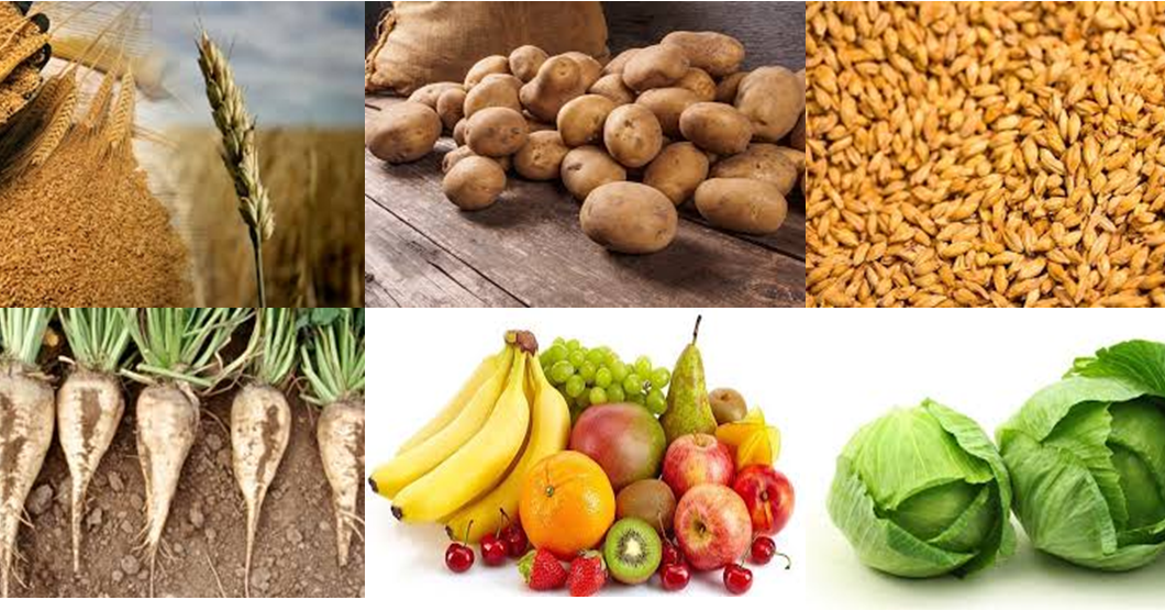 Los secretos de la economía: El sector primario en Alemania